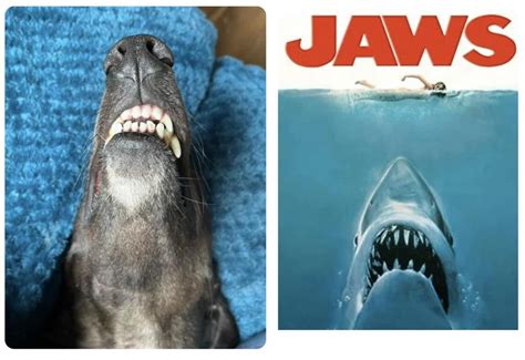 Spot The Difference Scrolller