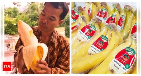 Worlds Largest Banana Is Bigger Than A Human Arm Video Inside Times