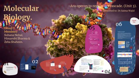 Ara Operon Group 7 By Suhana Nehal On Prezi