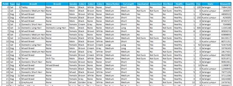 GitHub TrungAburame PetFinder During The Time Learn How To Use The SSIS I Came To Realize