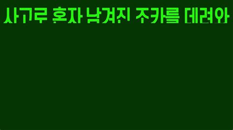 실화 연재 사고로 혼자 남겨진 조카를 10년 넘게 돌보며 의사가 되도록 도와줬지만 형부의 예상치 못한 행동이 그의 인생을 망가뜨렸습니다 배신의 아픔은 더욱 깊어졌고