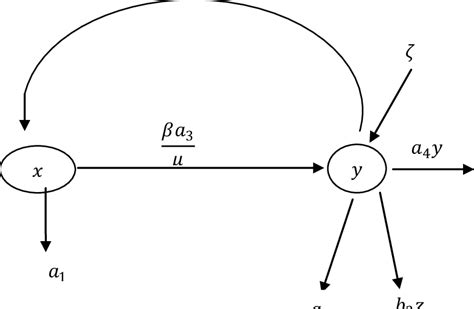 Schematic Representation Of The Mathematical Model In View Of The
