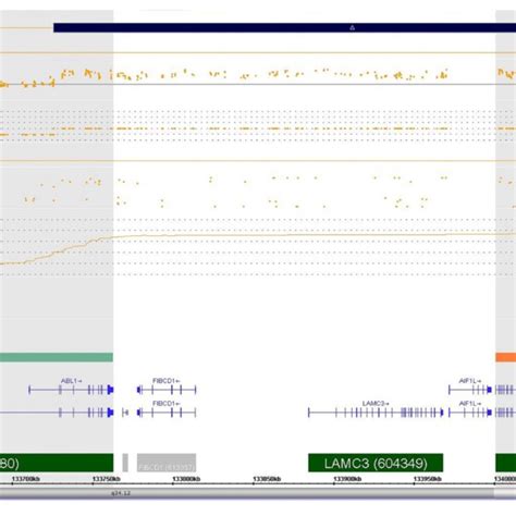 Single Nucleotide Polymorphism Snp Array Of The Amplification In Download Scientific