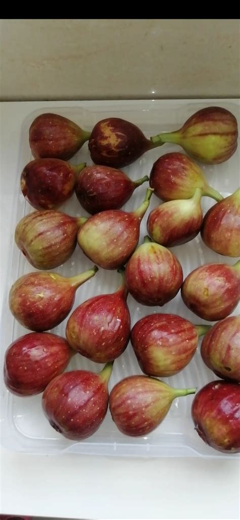 Frozen Figs Recipe Simple Chinese Food
