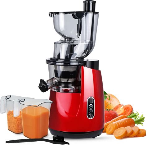 Lyntorin Cold Press Juicer Machine Slow Juicer Cold Press