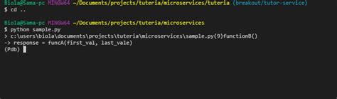 Отладка в Python
