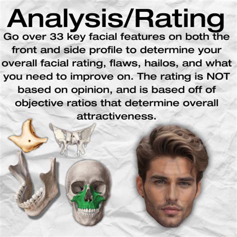 Facial Analysis Morph And Plan Primal Revolution