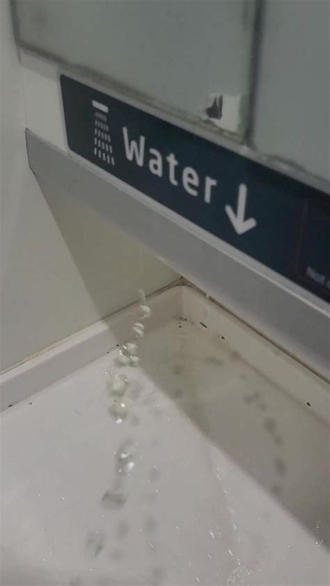 Piss Trashing Train Toilet Thisvid Com