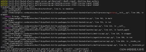 多卡torchrun分布式训练使用tmux或screen挂后台torchrun Nohup Csdn博客