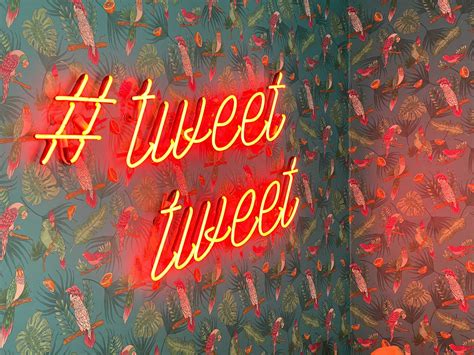 Using Twitters Api To Gather Tweet Stats And Follower Data In Python