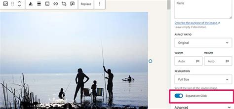 what s new in wordpress 6 4 features and screenshots