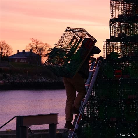 Lobster Trap Tree Bulid Gloucester 2023 11 25 26 Copyright Kim Smith