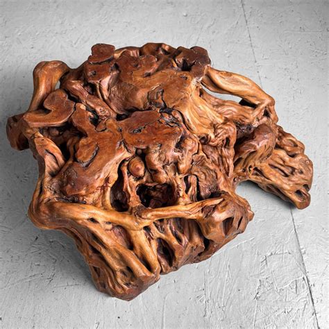 Meiji Era Japanese Burl Root Wood Plant Stand For Sale At Pamono