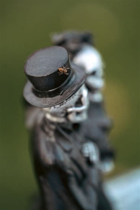 Skeleton Statue Spider Skeletons Free Photo On Pixabay