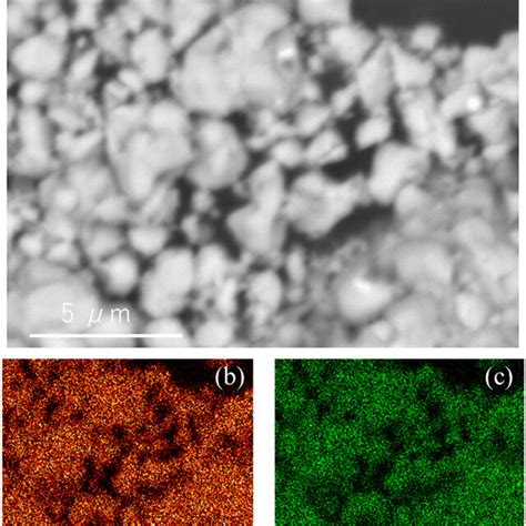 Sem Edx Analysis After Mc Treatment Of A Uo2 And Tio2 Mixture At Download Scientific Diagram