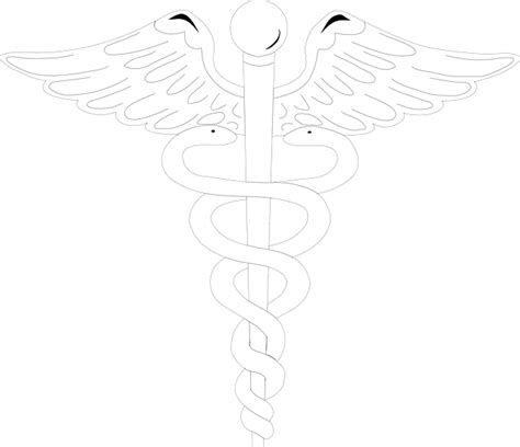 Pythonのshutilモジュールによるファイル・フォルダ操作 森の株