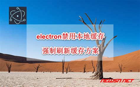 electron 如何禁用本地缓存？强制刷新缓存方案
