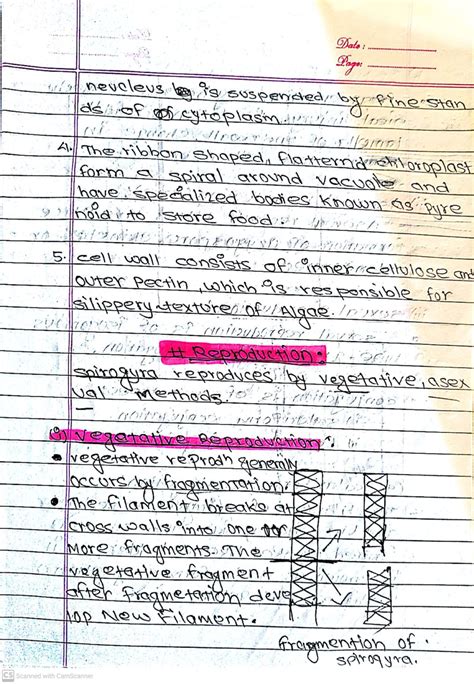 Class 11 Botany Note For 11 And Isc Ag Your All Notes Class 11 Botany Note For 11 And Isc Ag Your All Notes
