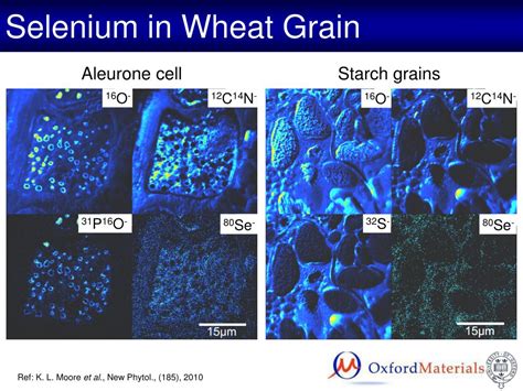 PPT - NanoSIMS Analysis of Arsenic and Selenium in Cereal Grains PowerPoint Presentation - ID ...