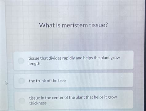 What Is Meristem Tissue Tissue That Divides Rapidly And Helps The