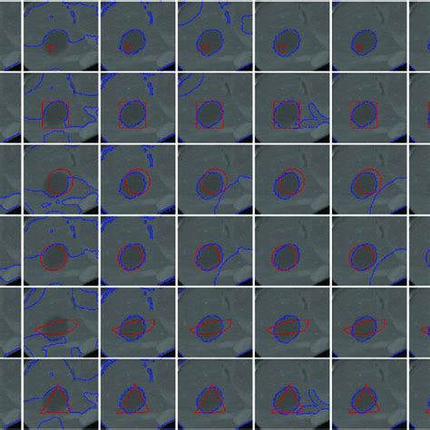 Segmentation Results Of Different Methods With Six Initial Functions