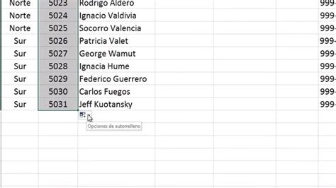 Las Diez Funciones De Excel Que Todos Deberían Aprender Según La Universidad De Harvard Infobae