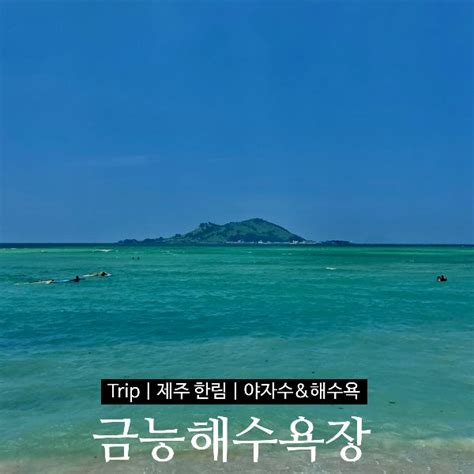 제주 해수욕장 추천 금능해수욕장 비양도 야자수 에메랄드 빛 예쁜 바다 끝판왕 네이버 블로그