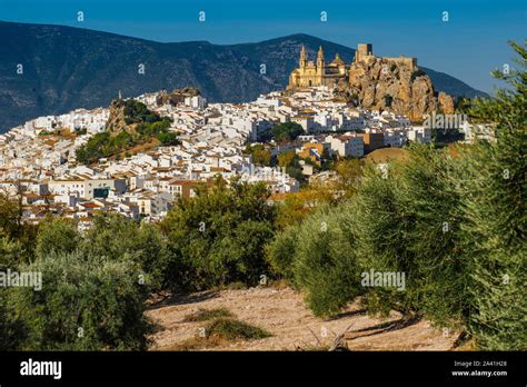 White Village Of Olvera Moorish Castle And Church Of Our Lady Of The