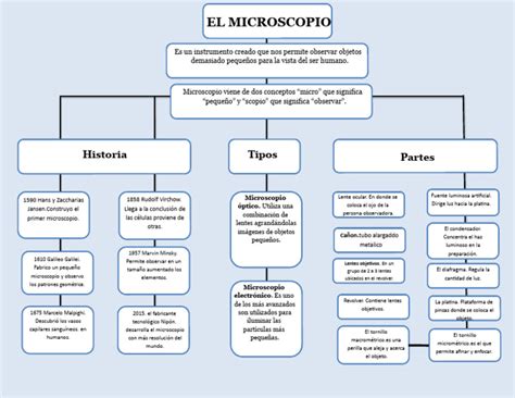Mapa Conceptual Del Microscopio 3 Pdf Microscopio Ciencias Fisicas