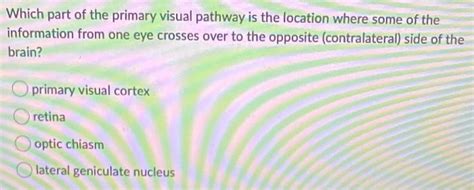 Solved Which Part Of The Primary Visual Pathway Is The