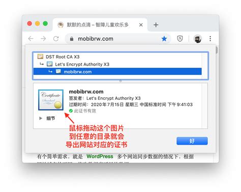 Openssl P7b
