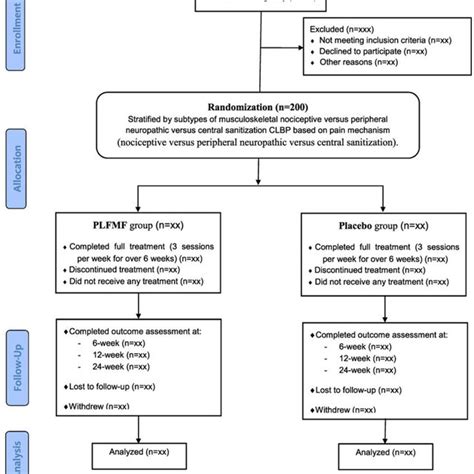 Flow Chart Of Participation In The Two Arm Randomised Double Blind Download Scientific Diagram