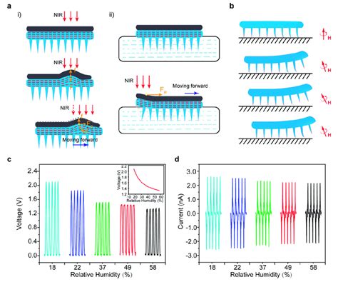 Locomotion Analysis Of The Multi Legged Soft Millirobot And The Signals Download Scientific