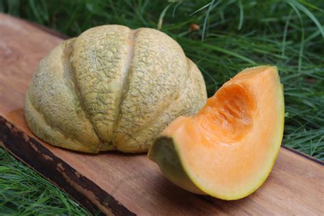 Oka Melon Seeds — Annapolis Seeds