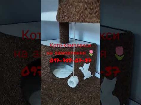 ігровий кото-комплекс ️ великий комплекс Дом Кот Dom kot 🇺🇦 - YouTube