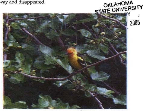 Pdf Predicting Frequency Of Mockingbird Calls Using The Weather Semantic Scholar