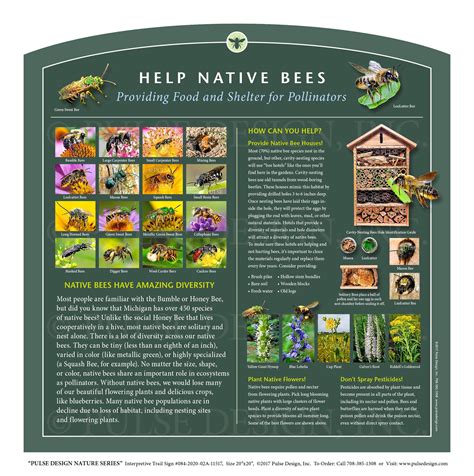Pdns Honey Bee And Native Bee Identification Guide Pollinator Habitat