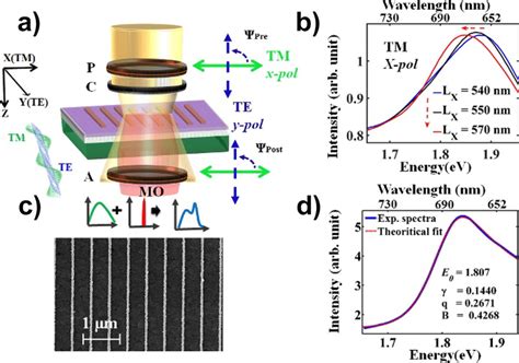 A Schematic Of The Polarization Spectroscopic System Integrated With A Download Scientific