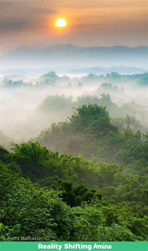 Anna Beth Wiki System Station Amino