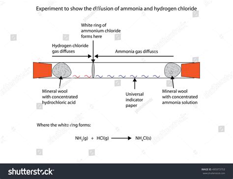 Labelled Diagram Show Diffusion Ammonia Hydrogen Stock Vector Royalty Free 495973753
