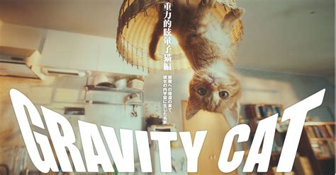 Gravity Cat Hakuhodo
