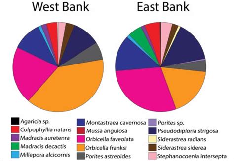 12 Relative Abundance Of Scleractinian Species In Coral Reef Habitats