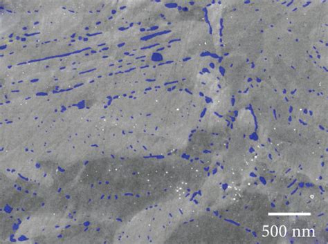 a original se and b segmented images from sample m23 segmentation