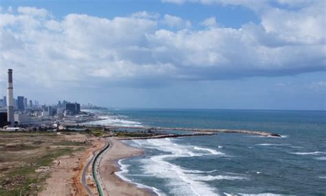 רובע שדה דב אתר המידע