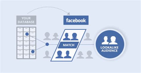 what is a custom facebook audience zimmer broadcasting