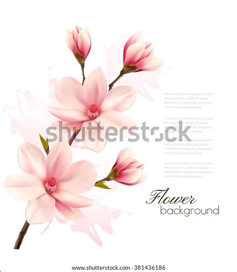 Spring Background Blossom Brunch Pink Flowers Stock Vector Royalty