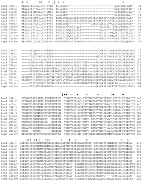 multiple sequence alignment of mosquito ge rich 30 kda allergen