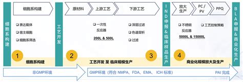 一站式cdmo服务 乐土生命科技