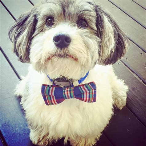 Карен Уайт — биография, книги, отзывы, цитаты