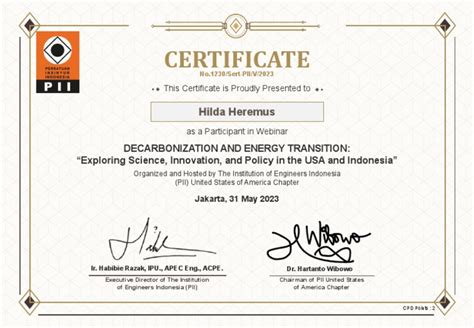 Certificate Decarbonization And Energy Transition Pdf